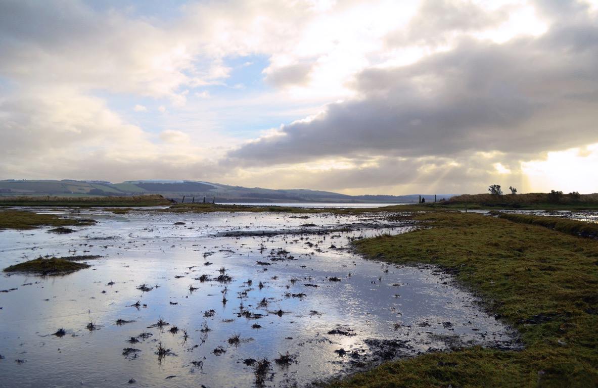 Nigg Bay RSPB nature reserve - Easter Ross Peninsula