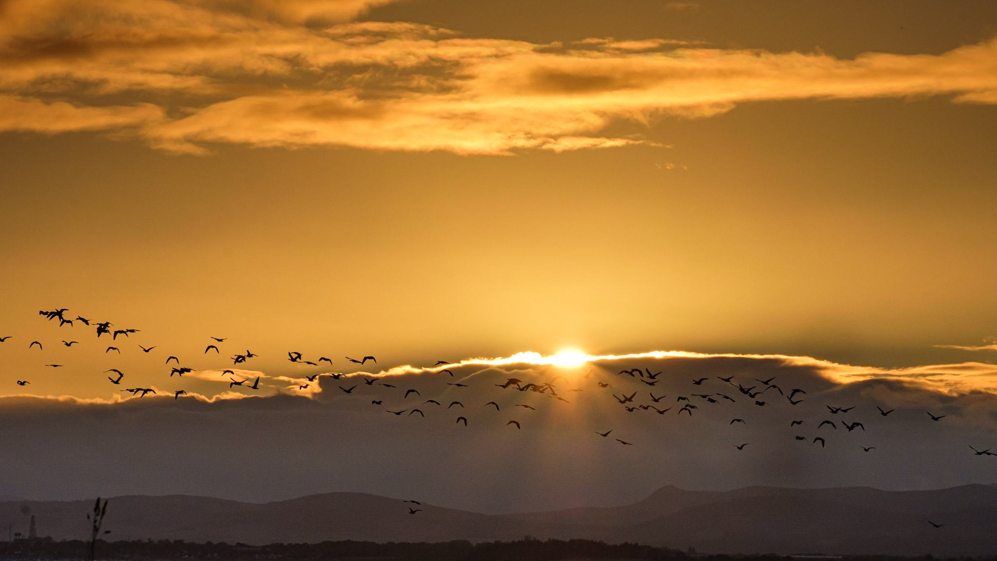 Nigg Bay RSPB nature reserve - Easter Ross Peninsula