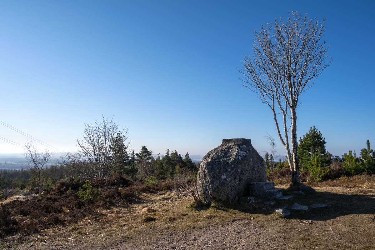 Tain Hill and Pulpit Rock Walk - Easter Ross Peninsula