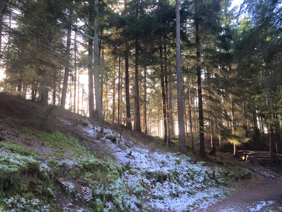 Harry Potter and the Black Rock Gorge Walk - Easter Ross Peninsula