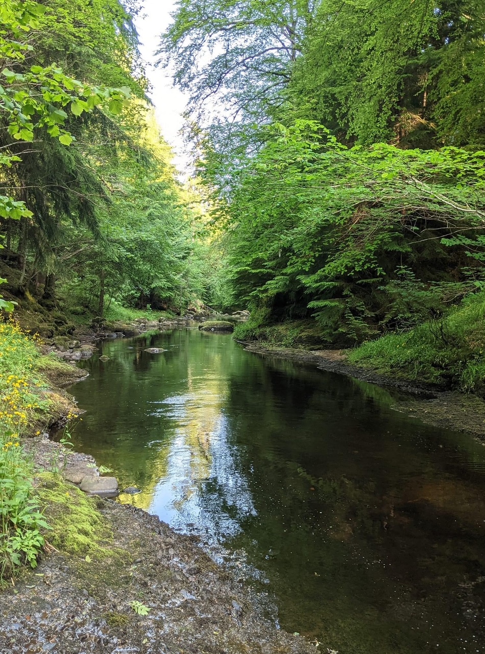 Harry Potter and the Black Rock Gorge Walk - Easter Ross Peninsula