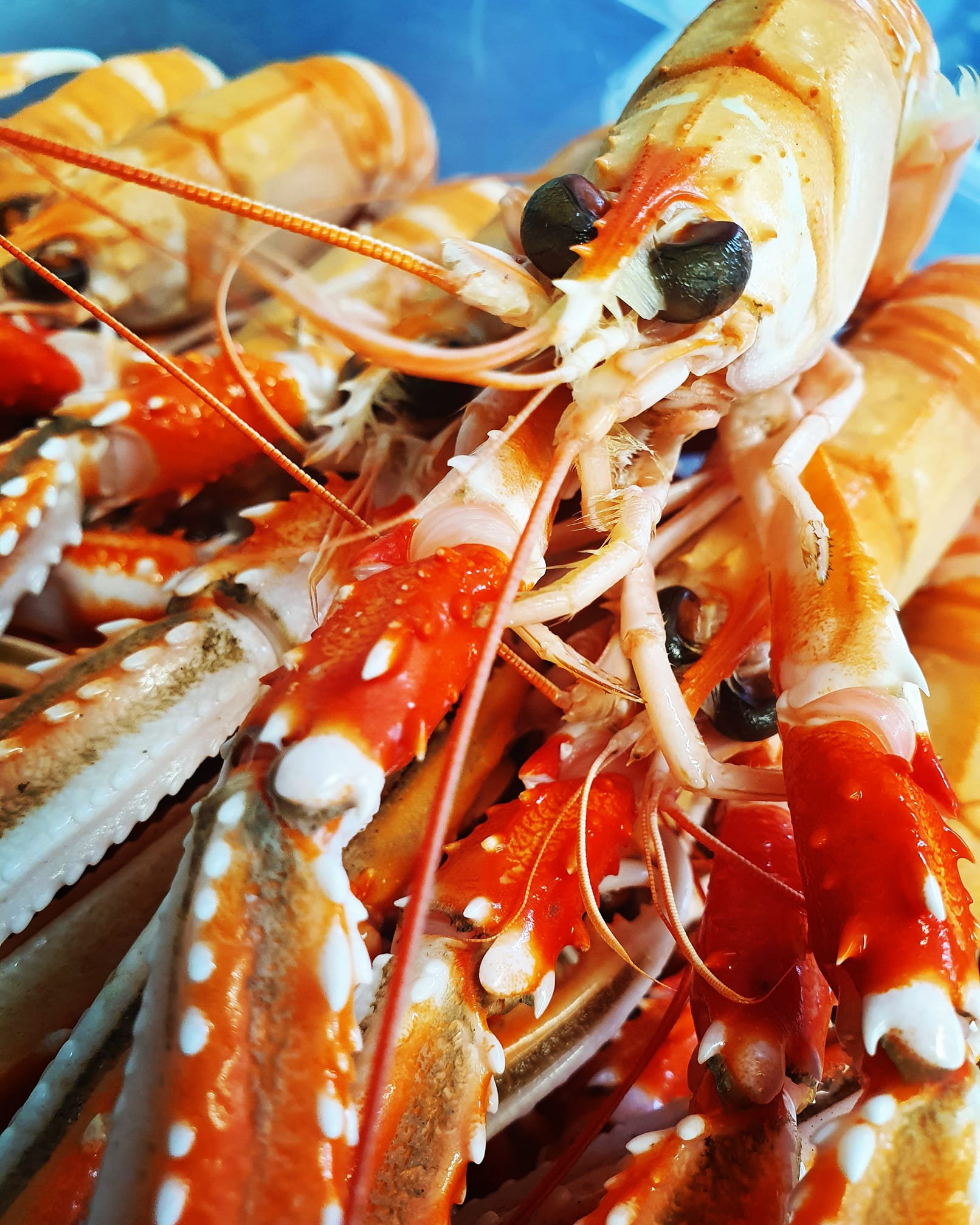 The Inver Inn - Easter Ross Peninsula