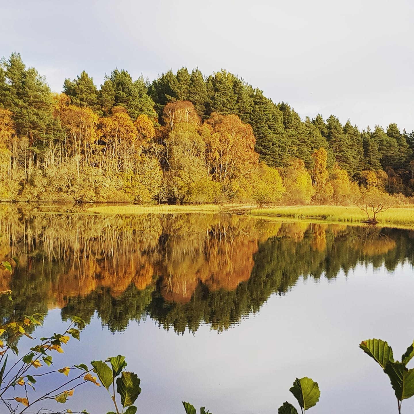 Kildary Loch & Walk - Easter Ross Peninsula