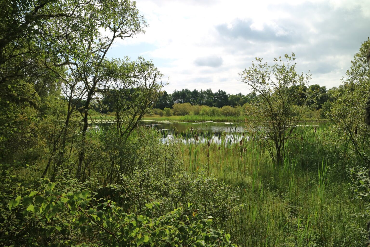 Kildary Loch & Walk - Easter Ross Peninsula