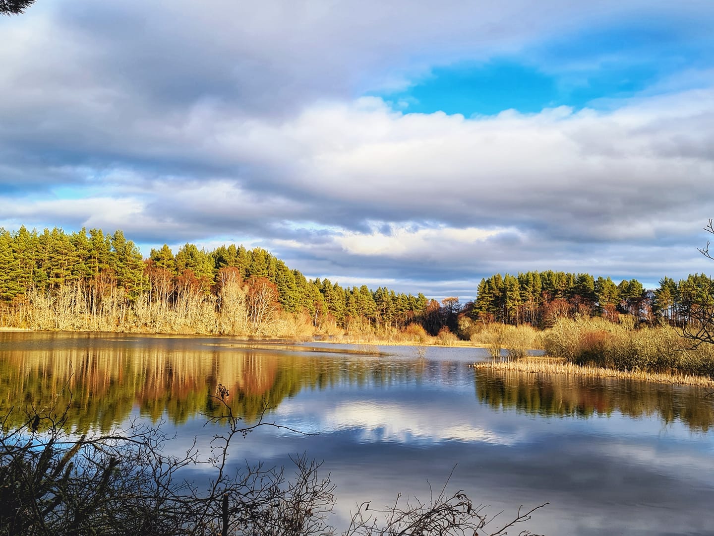 Kildary Loch & Walk - Easter Ross Peninsula