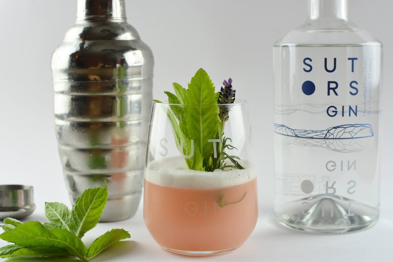 Location: Tain - Easter Ross Peninsula